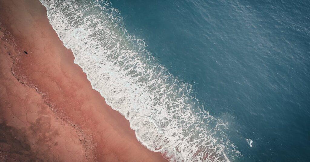 Marrée haute ou basse : guide pratique pour ne pas se tromper